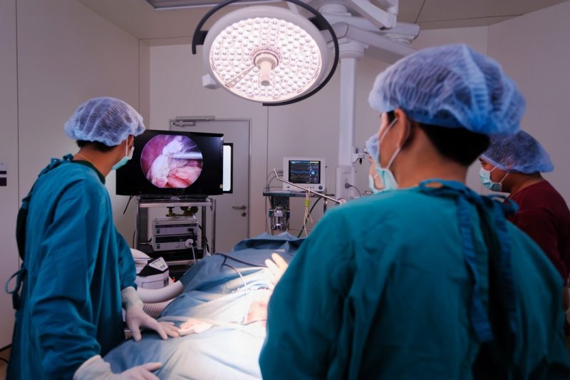Laparoscopic Spay in Chester, New Jersey | Chester Animal Hospital